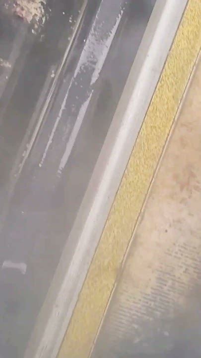 버스출장세차 실내스팀세차 45인승 병원검진버스 실내크리닝 살균소독 연무소독 바이러스케어 바닥광택 은평구 출장세차 영등포출장세차 고양출장세차 남양주출장