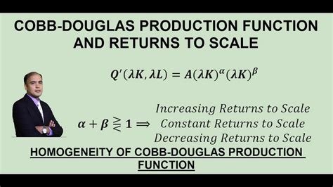 cobb douglas production function homogeneity condition returns to