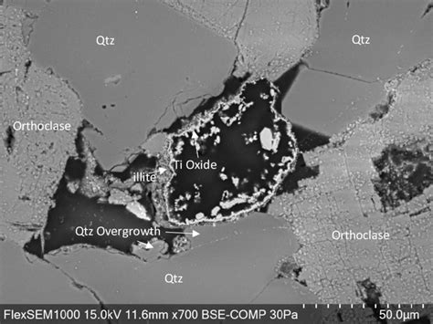sem bse thin section photomicrograph with energy dispersive