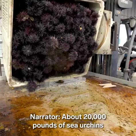 Rajiv Bhatia Posted On Linkedin