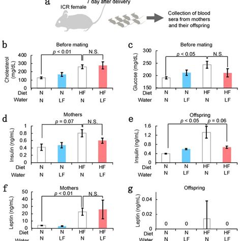 Measurement Of Serum Components In Hf Females And Their Offspring A