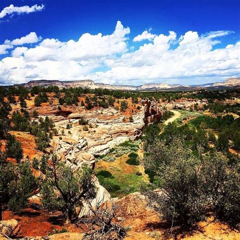 Solved How To Search From A Sys Id Servicenow Community