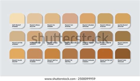 Peanut Color Palette Peanut Color Guide Stock Vector Royalty Free 2500099959 Shutterstock