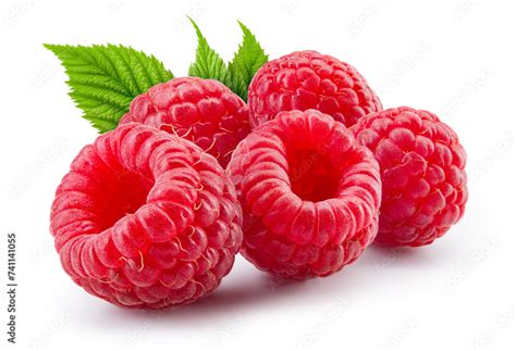Raspberry Isolated Raspberries With Green Leaf Isolate Raspberry With Leaves On White