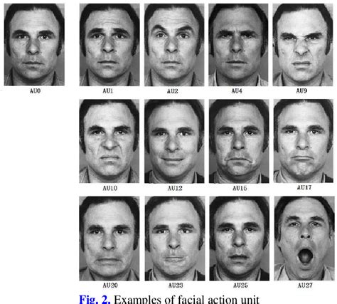 Figure 1 From Facial Action Unit Detection With Multilayer Fused Multi Task And Multi Label Deep