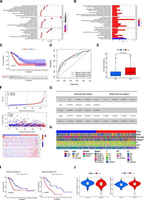Macrophage Related Degs With A Nmf Algorithm Jir