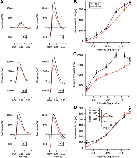 Electrophysiological Assessment Of Retinal Function In 1 Yearold R1 Download Scientific