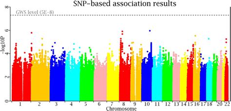 Manhattan Plot Of Individual Snp Based Association Tests Download