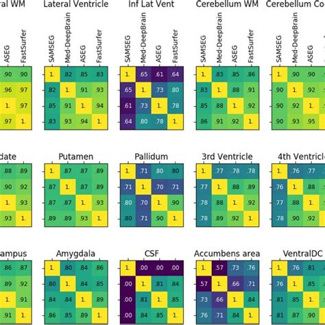 Pairwise Segmentation Agreement Matrix Dice Coefficients Between Each Download Scientific