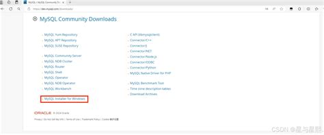 mysql和navicat的安装 保姆式教程 以及解决一些可能的问题 mysql和navicat安装教程 csdn博客