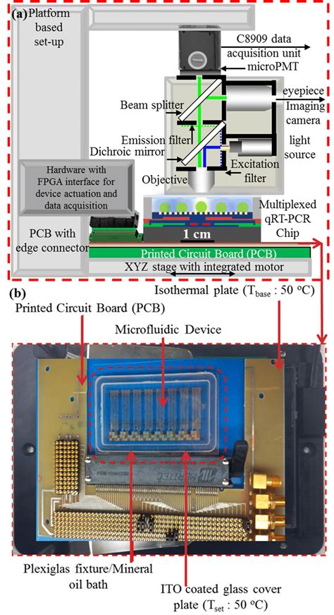 A Schematic Diagram Of The Experimental Setup B An Image Of The