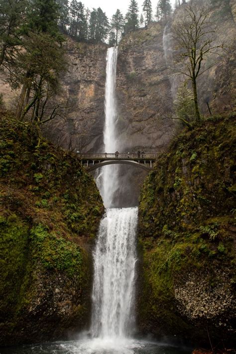 Portland Oregon Must See Attractions Photos