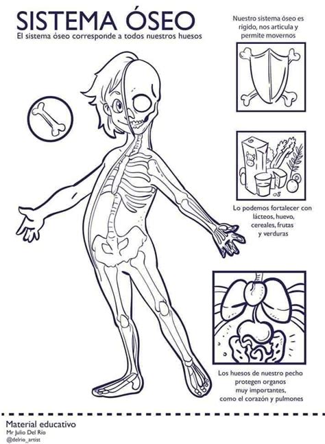 Pin de lourdes mata en ciencias Proyectos de ciencia para niños