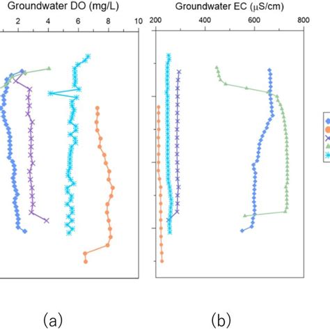 Calibrated Hydraulic Conductivity For The Homogeneous Case Download Scientific Diagram