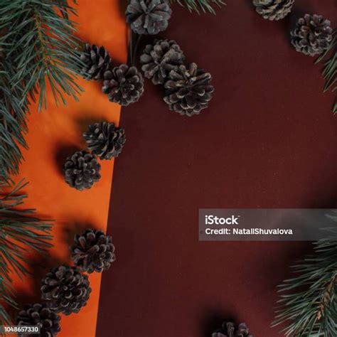 전나무 지점과 콘 텍스트 위한 공간을 가진 크리스마스 카드 크리스마스에 대한 스톡 사진 및 기타 이미지 크리스마스 0명 가문비나무 Istock