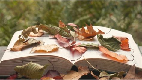 The Art Of Storytelling Unleashing The Power To Connect Inspire And