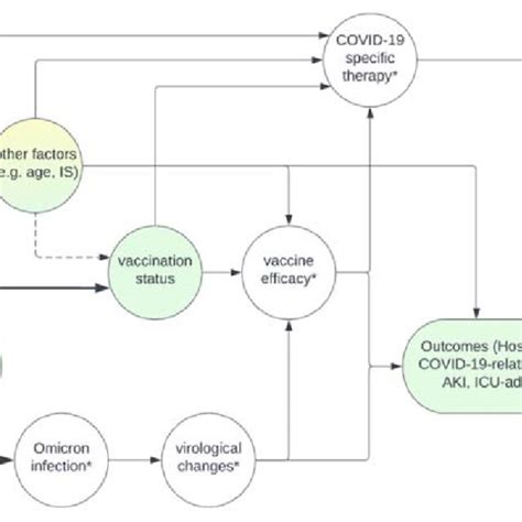 Causal Diagram Summarizing The Assumptions Underlying The Analysis Download Scientific Diagram