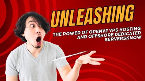 Unleashing The Power Of Openvz Vps Hosting And Offshore Dedicated