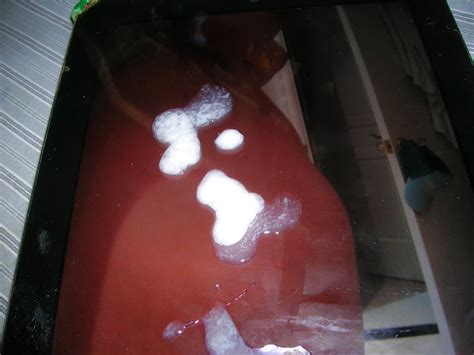 Jessica Alba Porn Pictures Xxx Photos Sex Images 1627568 Pictoa