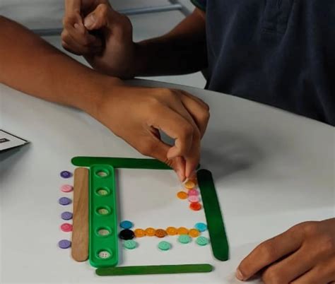 Exploring Leaf Adaptations With Loose Parts Valistus International