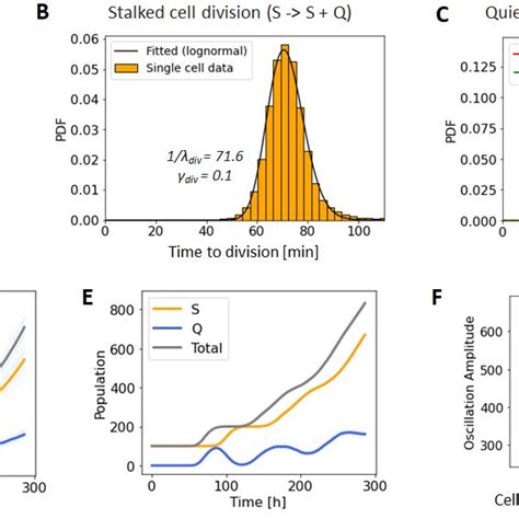 Microbial Growth Of Caulobacter Crescentus A Cartoon Depicting The Download Scientific