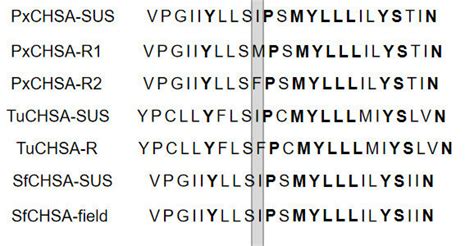 Aligned Amino Acid Sequences Of Helix 5 In The C Terminal 5