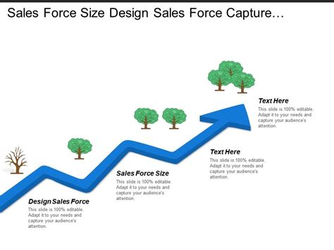 Sales Force Size Design Sales Force Capture Manager Presentation PowerPoint Images Example