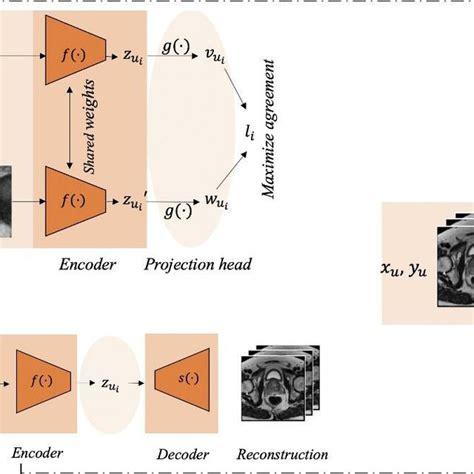 From Left To Right Contrastive Masked Image Modelling Mim And Fully