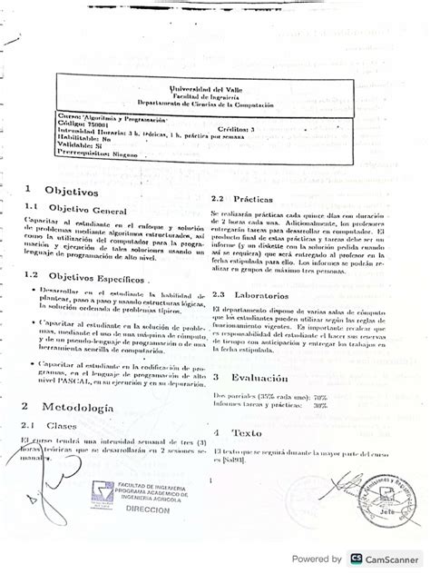algoritmia y programacion pdf