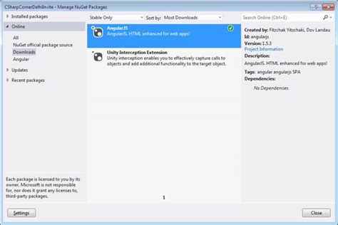 Adding Angular Nuget Package