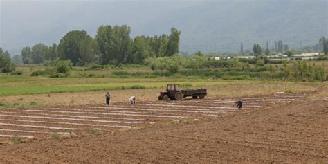 Николовски ќе додели 133 договори за грант поддршка до 10 000 евра на мали производители на