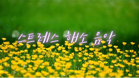 스트레스와 불안을 다스리는 명상음악 머리가 맑아지는 치유음악 Youtube