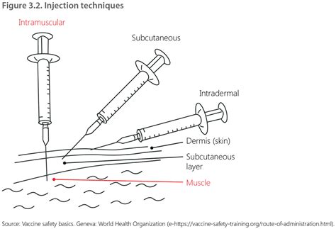 Tuberculosis Vaccine