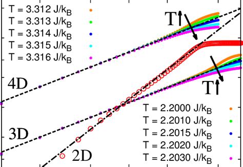 Color Online Double Log Plot Of Time Dependence Of Absolute Value Of