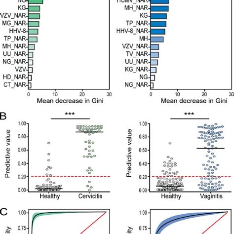 the classification features selected by random forest models a