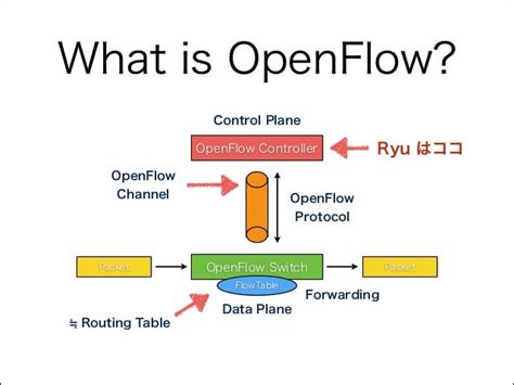 Sdn Framework Ryu Internal