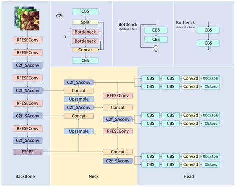 Rse Yolov8 An Algorithm For Underwater Biological Target Detection