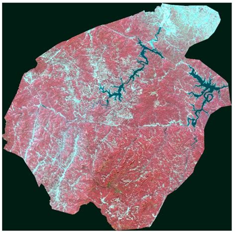 Remote Sensing Free Full Text Estimating Forest Fapar From Multispectral Landsat 8 Data
