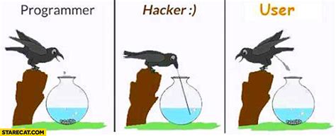 Programmer Hacker User As A Bird Comparison StareCat Com