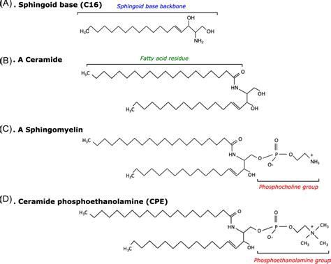 Figure 2 From The Role Of Glycoconjugates As Receptors For Insecticidal Proteins Semantic Scholar