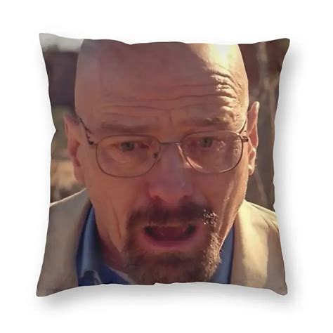Walter White Meme Breaking Bad Pillowcase Soft Polyester Cushion Cover