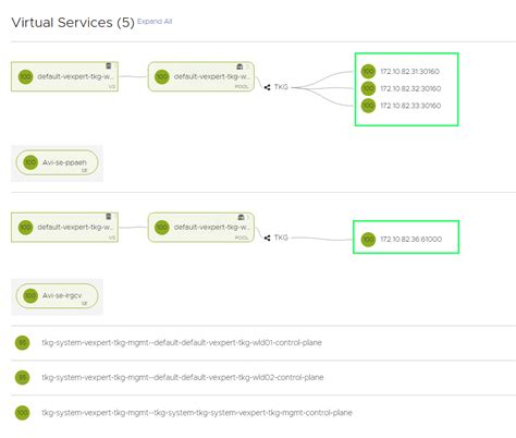 Configuring Antrea Nodeportlocal With Nsx Alb On Tkg Nsxbaas