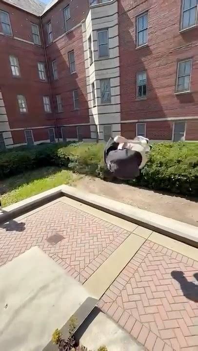 Mammal Force 3 The Um Parkourfreerunning Parkourvideo Freerunning