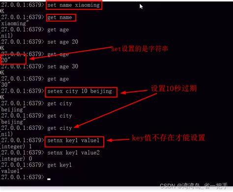 redis笔记（安装配置 常用命令 java操作 redis集群redis cluster 可视化工具） redisinsight 可视化工具