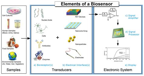 Electrochemical Biosensors Sensor Principles And Architectures
