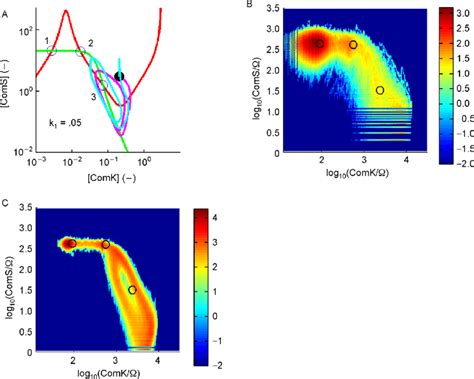 effect of increasing time scale separation by slowing down translation