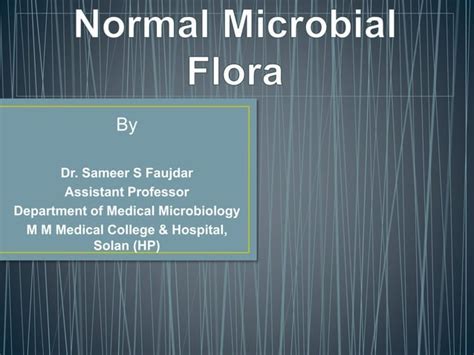 Normal Microbial Flora Ppt