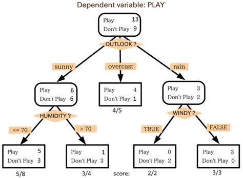 Most Common Machine Learning Algorithms