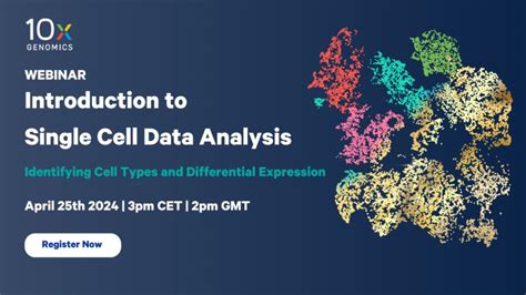 Introduction To Single Cell Data Analysis Identifying Cell Types And