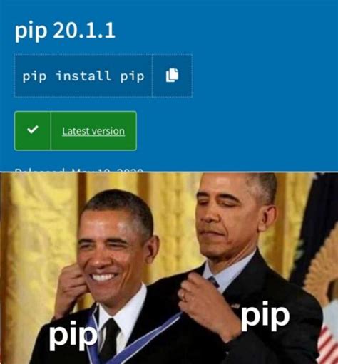 I Used The Pip To Install The Pip R ProgrammerHumor